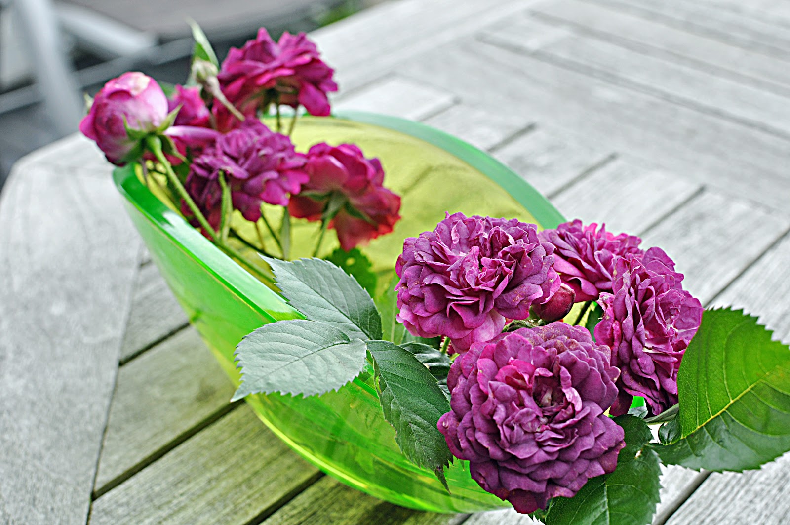 Kreativ Tankeknips: Liggende roser