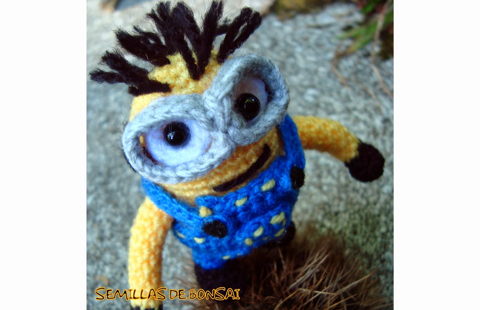 Semillas de bonsai: enero 2014