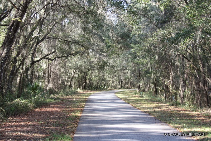 The Withlacoochee State Trail: The Withlacoochee State Trail In Florida