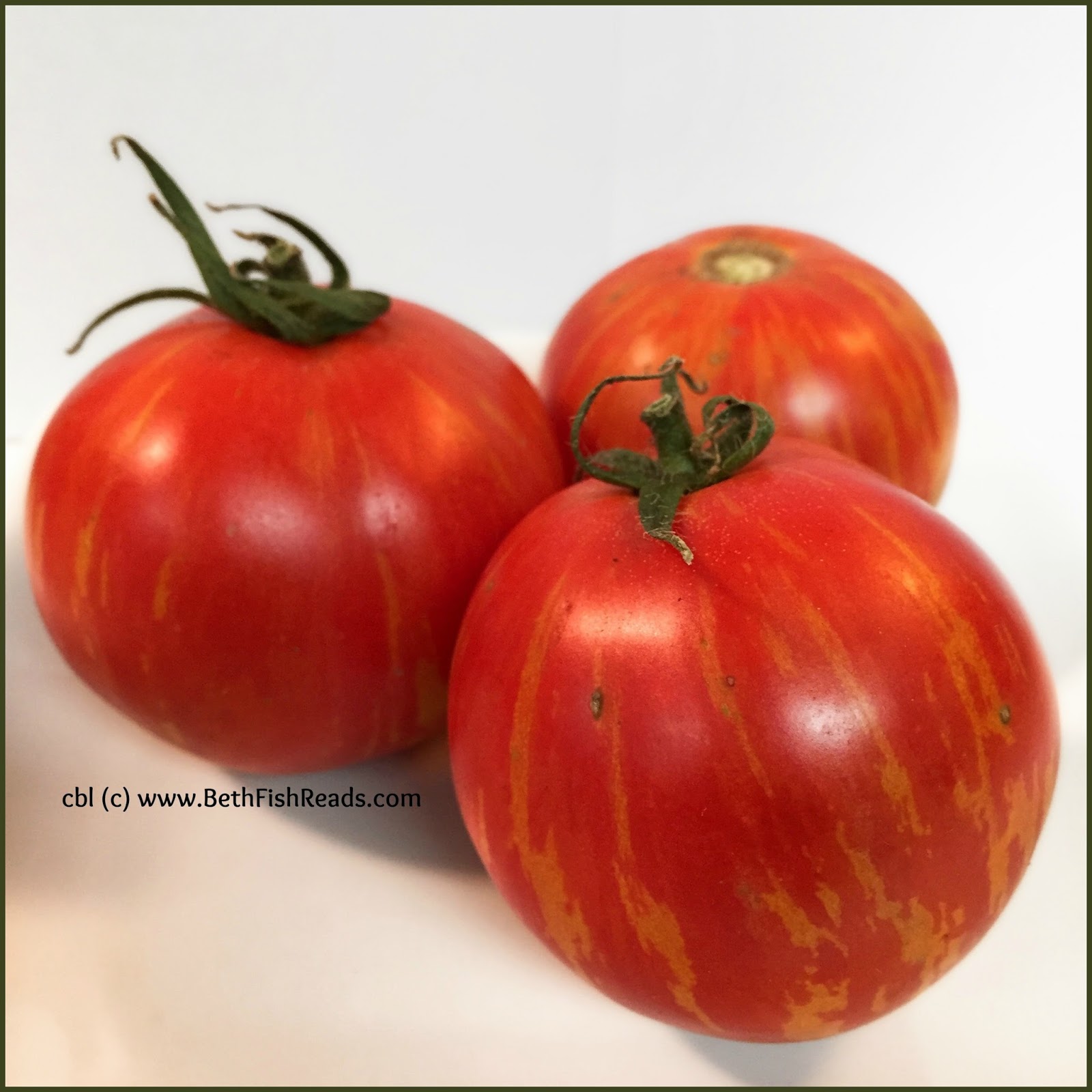 Beth Fish Reads: Weekend Cooking: Budget Bytes by Beth Moncel