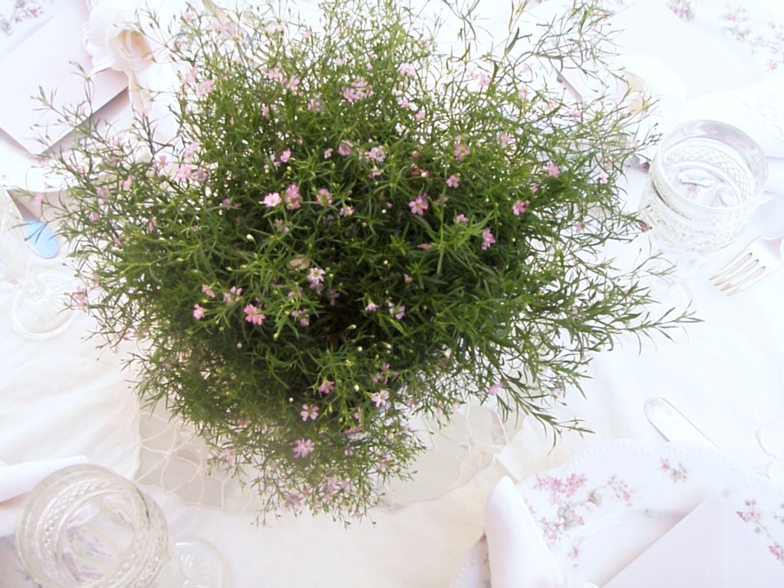 Cabin & Cottage : Ladies Spring Luncheon