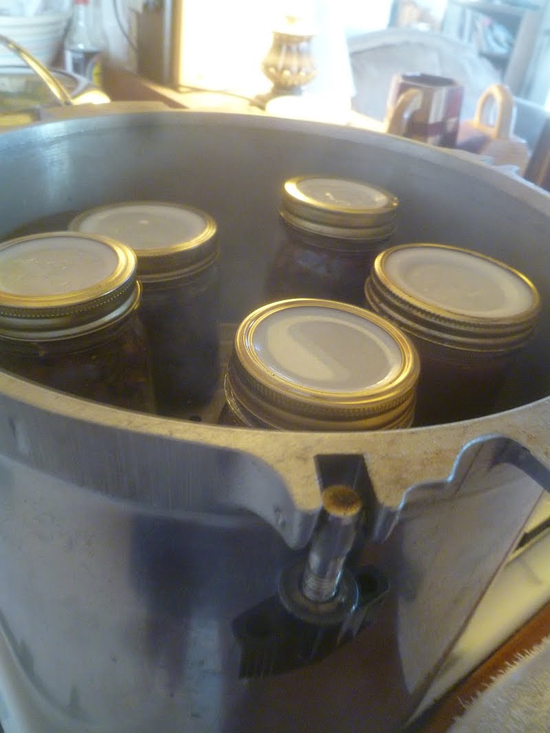 Rural Revolution: Canning bacon bits