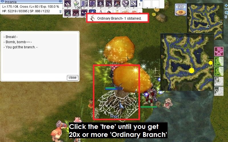Ragnarok Online GM and Player Guide!: New Surrounding Quest