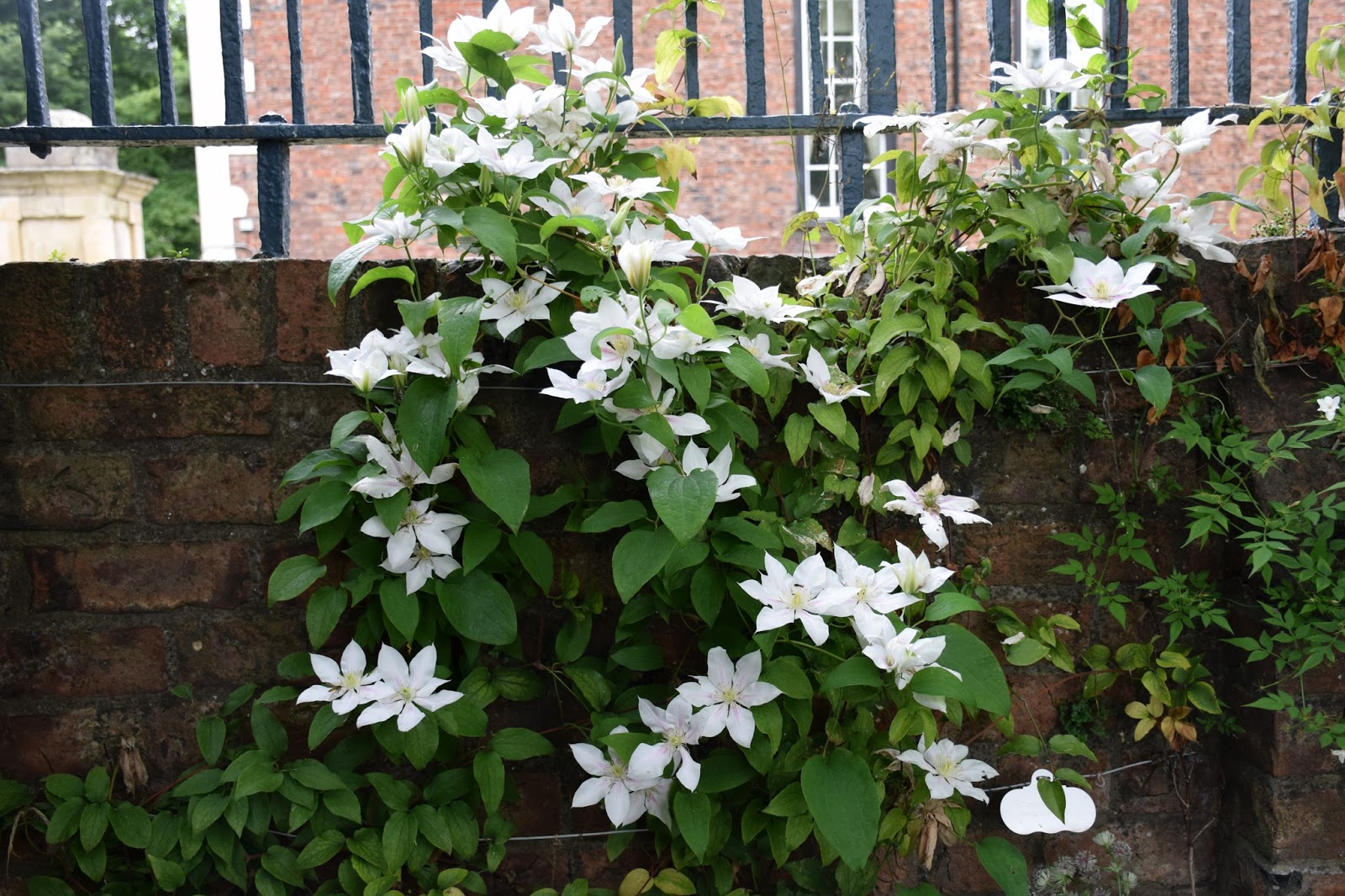 fru trollhagen : Hageinspirasjon fra York: Hagen utenfor Treasurer's House