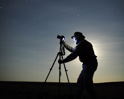 Shemmy Shemmy Shake Shake: Sunflower State of Mind - Artist Spotlight ...