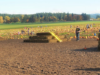 Damroot - Winter Squash Halwa