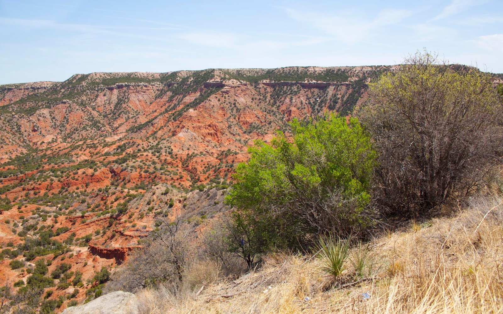 If I Were Going...: Texas Birding in April – The Caprock Escarpment and ...