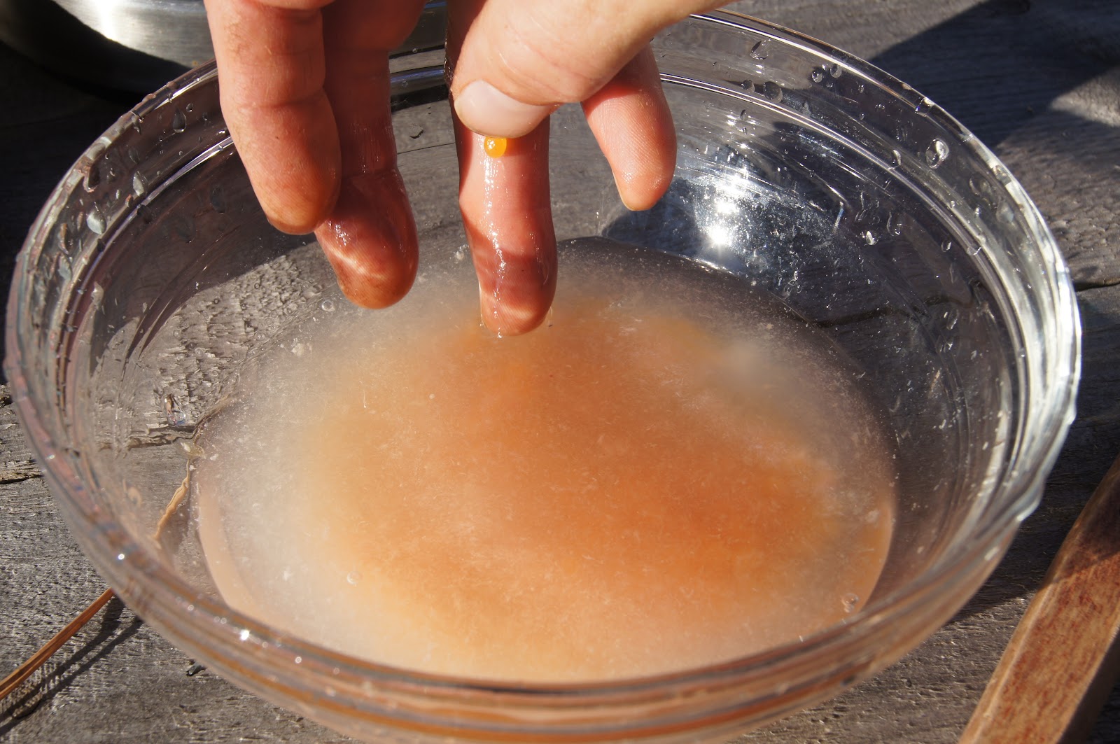 Trout Caviar: How to Make Trout Caviar