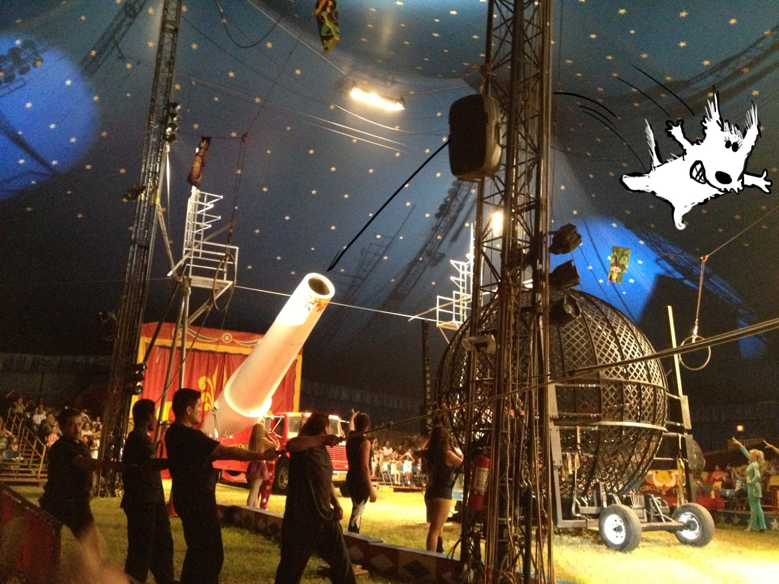 Lili's Scoop: The Worlds Largest Circus Under the Big Top: Cole Brothers!