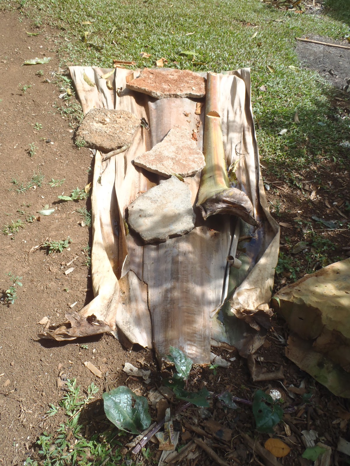 Artistas Unidos por un Planeta posible.: Casa cobijada de yagua.