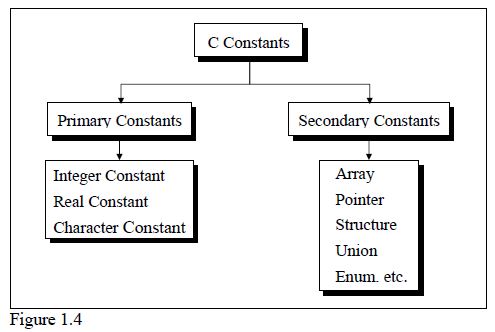 Types of C Constants ~ Beginner School