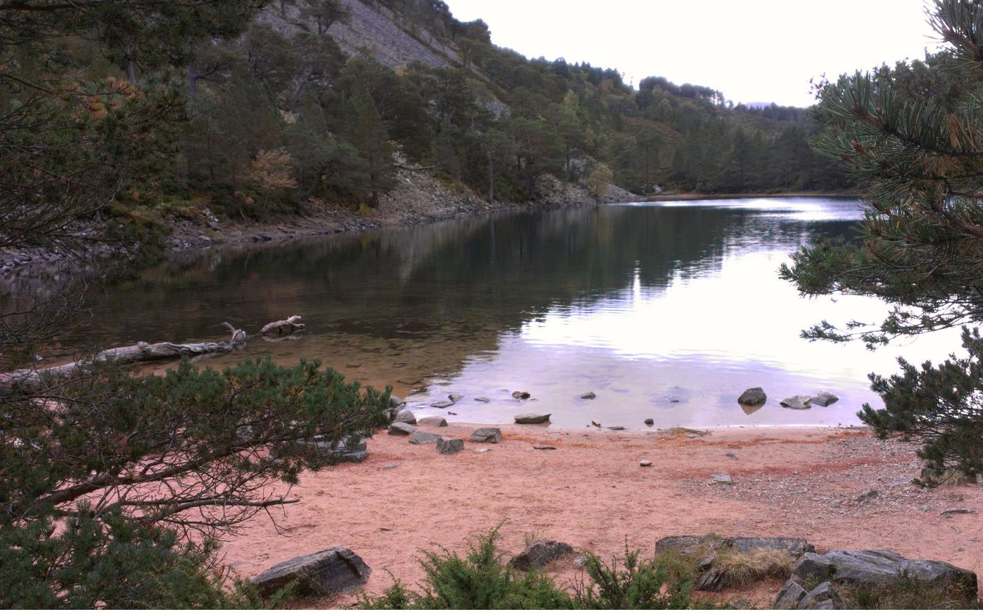 Exploring Scottish Trails: Ryvoan Bothy Circuit