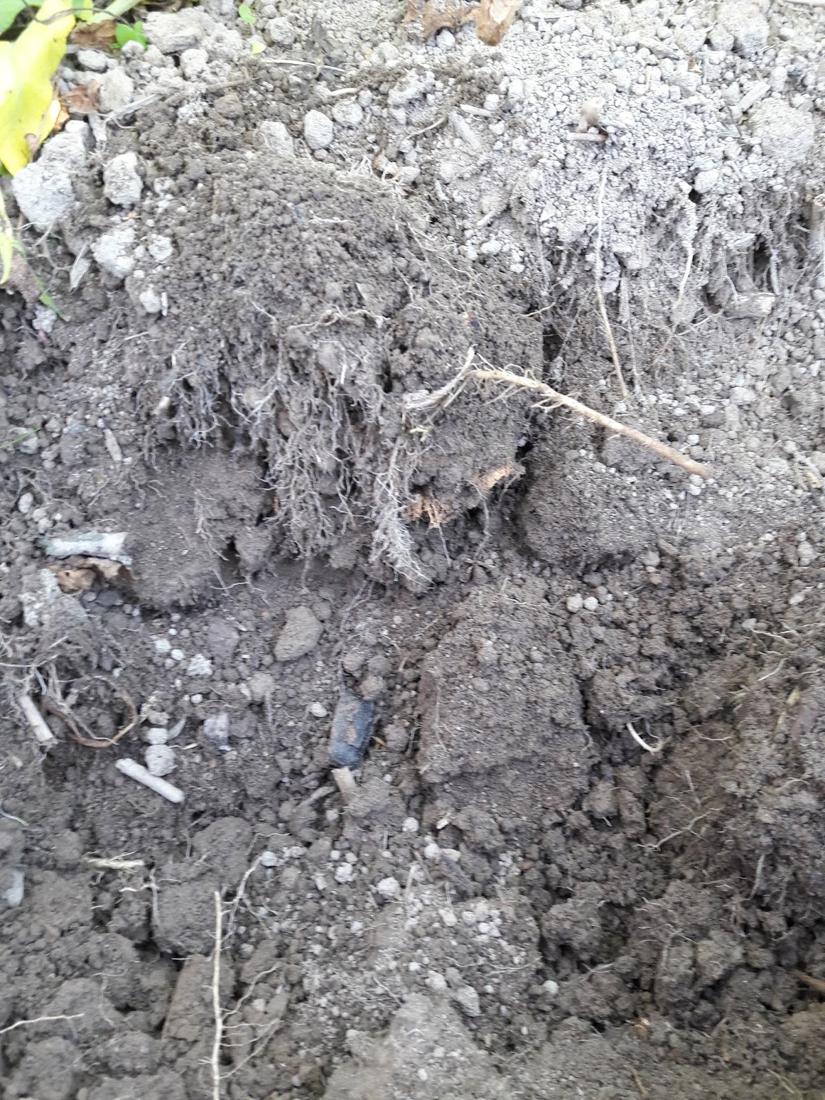 Urban Farming kotitarveviljely: Mitä tarkoittaa maan rakenne puutarhassa?