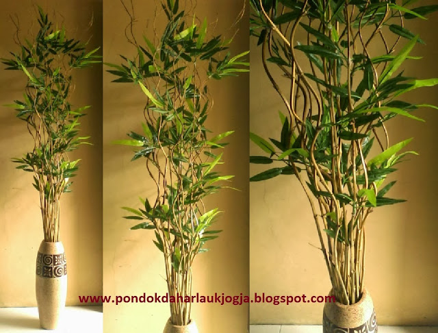 Pondok Dahar Lauk Jogja: Bambu Ulir @ Lauk Jogja (Twisted Bamboo with ...