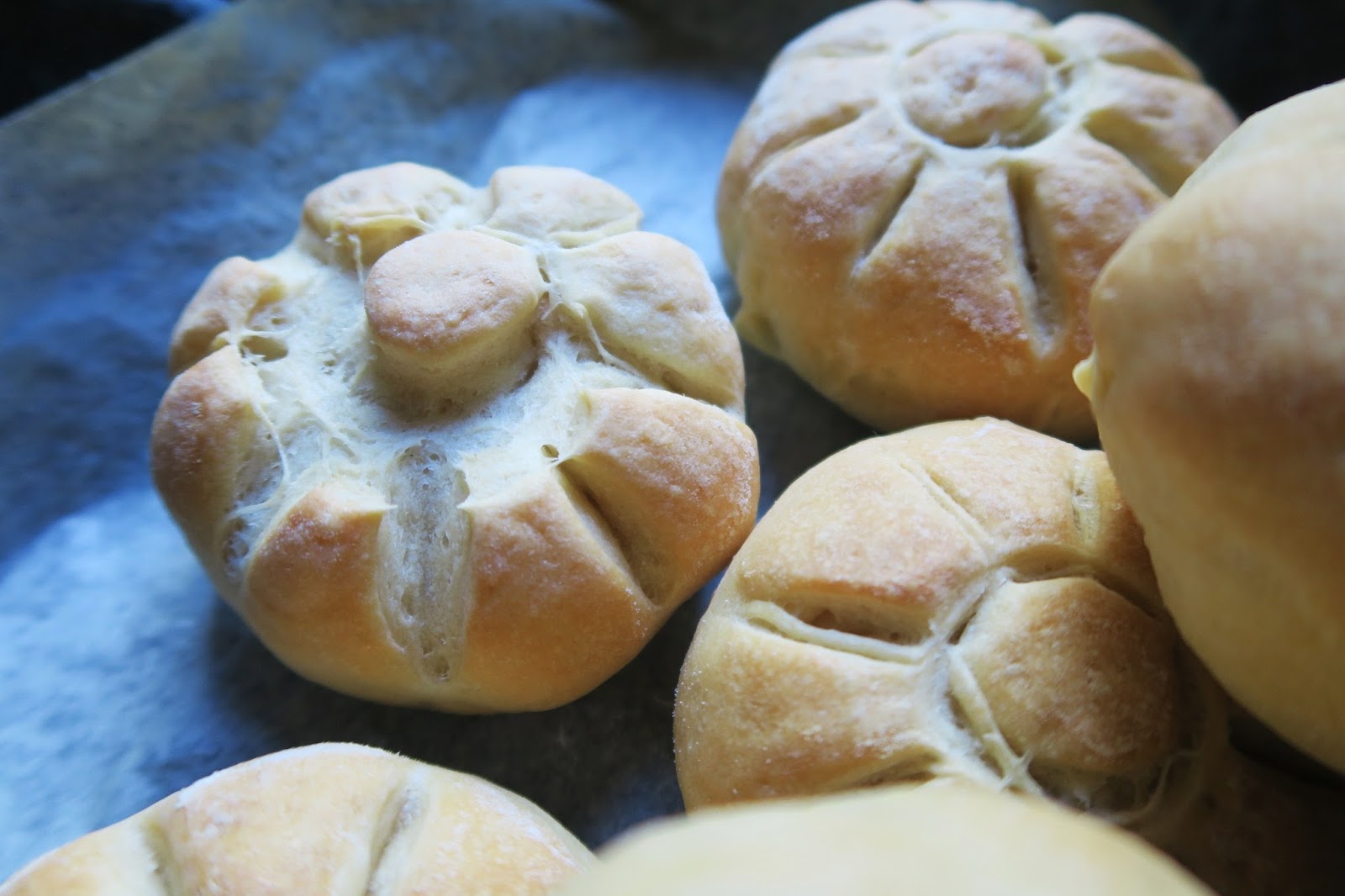 Cucina Conversations: Rosette di Pane (Rosette Bread Rolls)