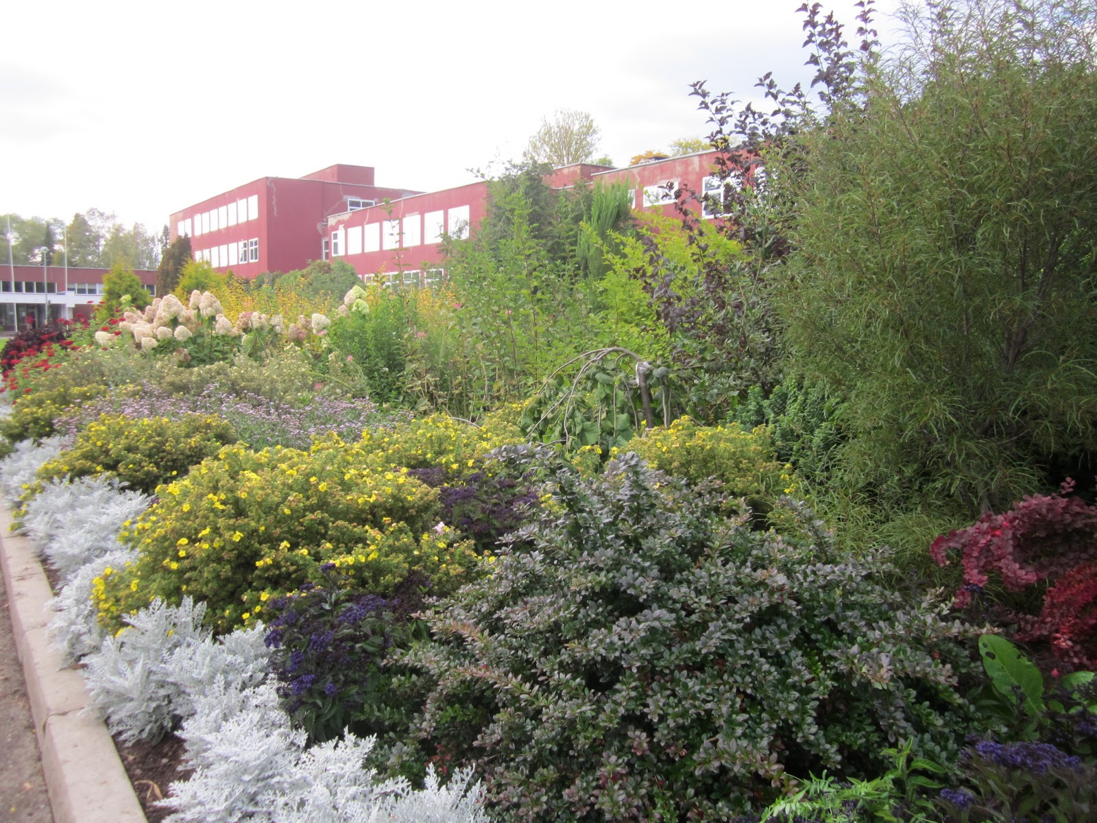 pildipostitus. Veel mõned kukerpuu kaared