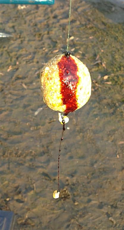 Clint's Angling Corner: May 2012