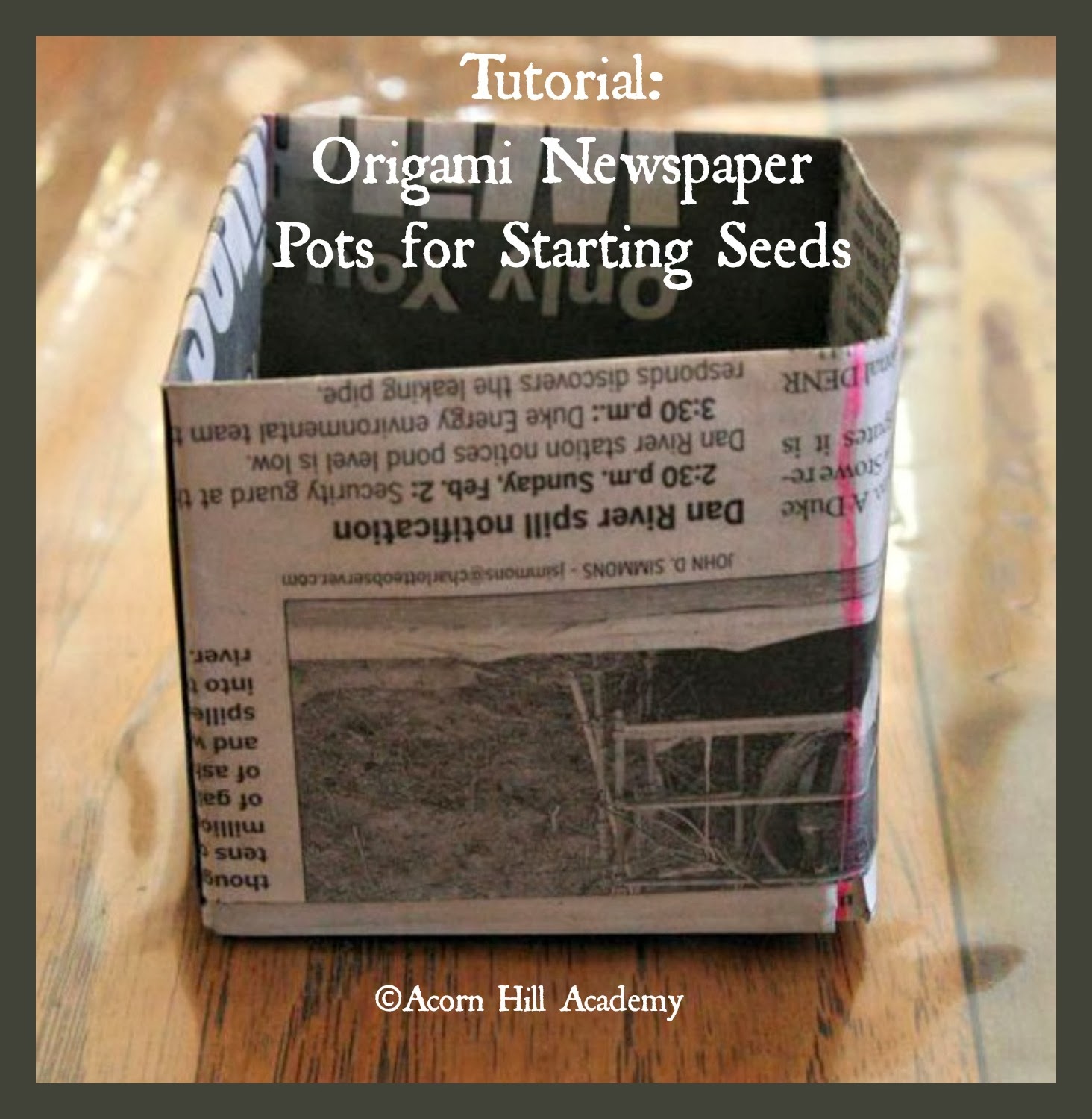 Acorn Hill Academy: Seed Starting: Origami Pots!