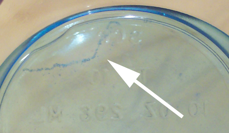 Real Human Dna Strand