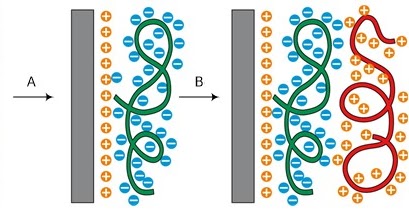 Prof. Dr. Bilsen Beşergil: Tabaka-Tabaka (layer-by-layer)