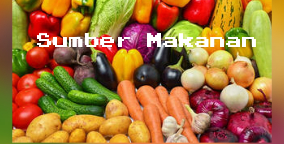 ILMU PENGETAHUAN ALAM: Sumber Makanan