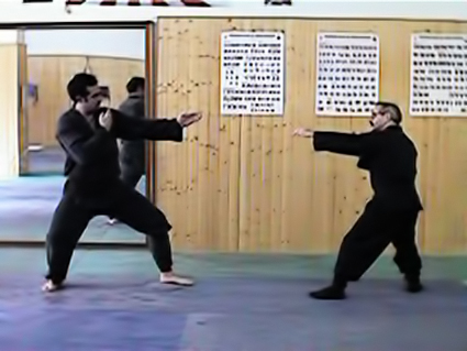 NINJUTSU 忍術: TÉCNICAS 技