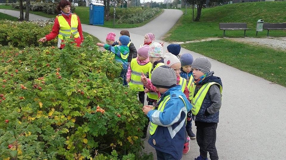 Roheline Kool Eestis Tallinna Tuule Lasteaed: Sügis Pae pargis