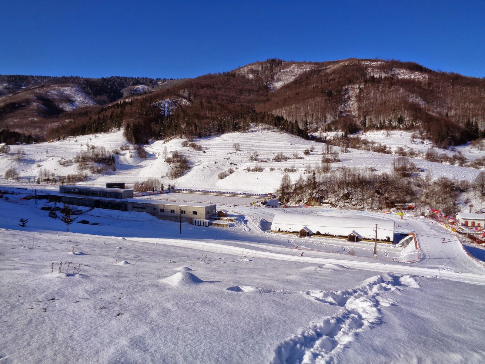 Matthew Strum - Biathlete, Cross Country Ski Racer