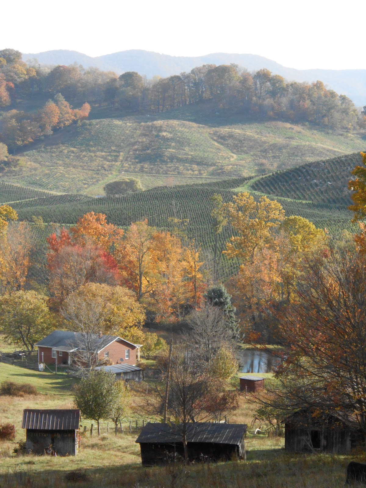 His Legacy Lives On: Grayson County, VA