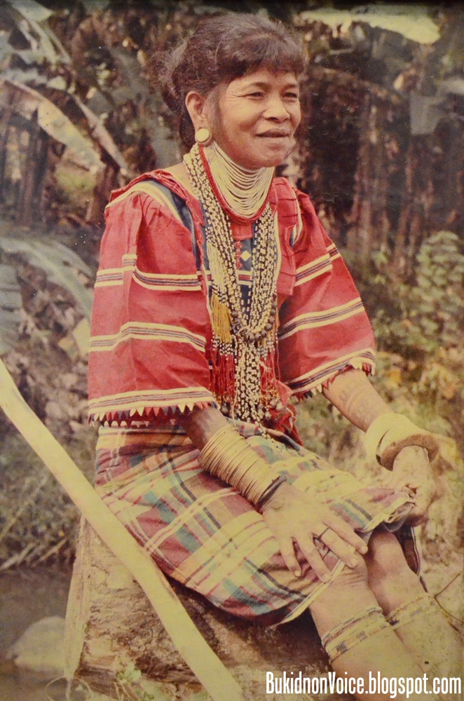 The Bukidnon State University Museum