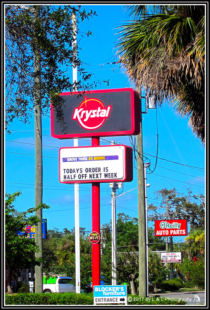 Ocala, Central Florida & Beyond: Just wait 'til next week!