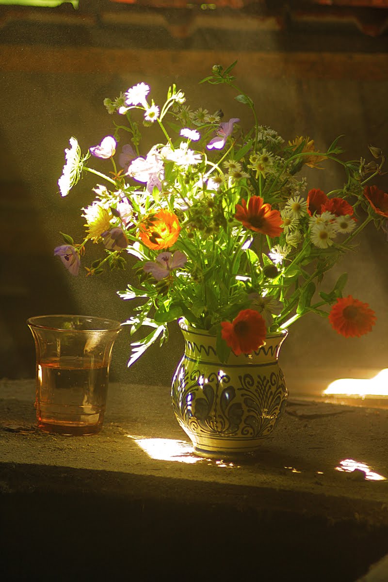 Fotodragan: Flori de vara