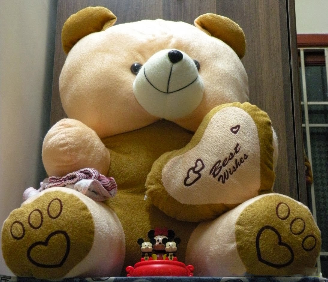 Taddy Day Wallpaper Free Download ~ Unique Wallpapers