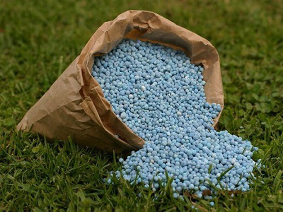 Cara Merawat Tanaman Dan Aneka Tanaman Hias: Kenali Pupuk Kimia dan ...