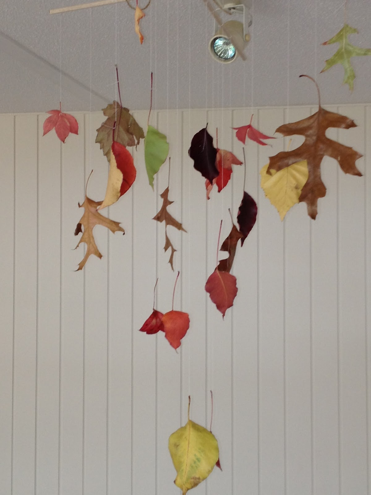 Life and Style on a Dime (Lily Online Magazine's Blog): Autumn Style