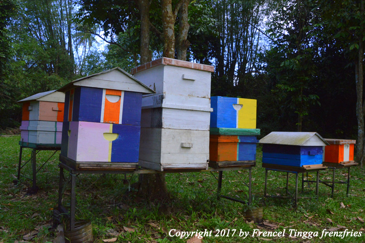 Frenz Fries: The Beehive Farm and Kitchen, Lipa