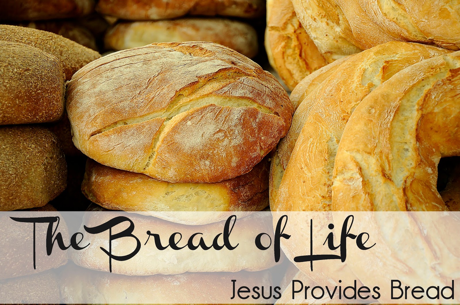 andy at faith: The Bread of LIfe ~ Jesus Provides Bread