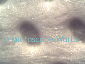 Microscope World Blog: Fabric Under the Microscope