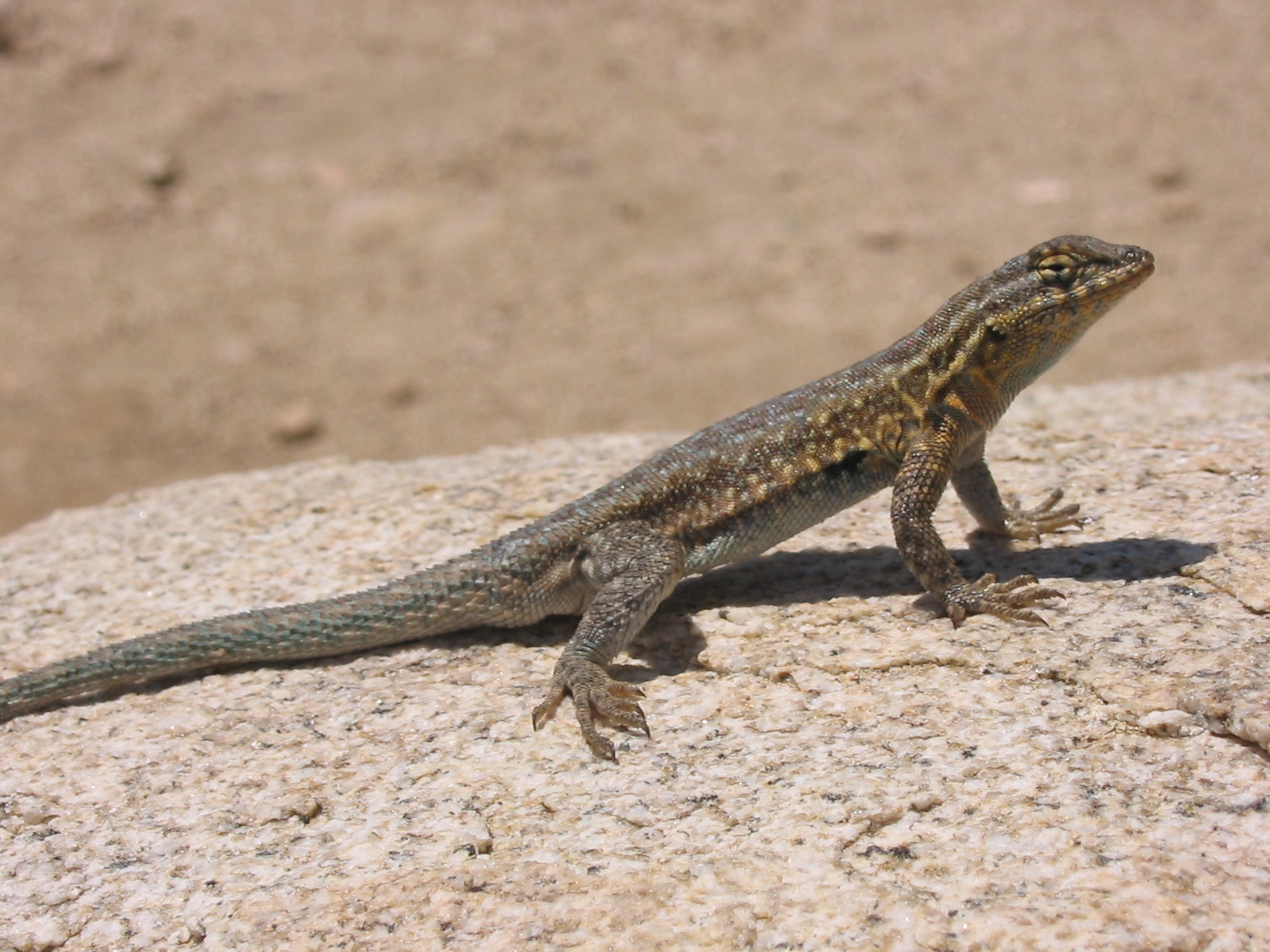 - Ε Π Ι Λ Ε Κ Τ Ο Ι - : 22 Απρ 2011