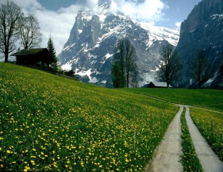 DAĞ RESİMLERİ DAĞ MANZARASI DAĞ MANZARALARI-Manzaralar