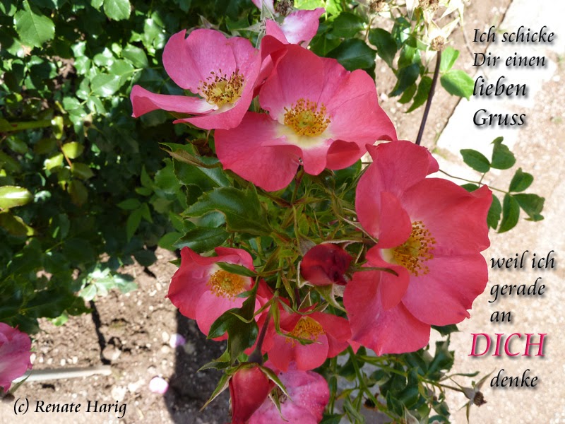 Willkommen in Renates Eckchen: Ein lieber Gruß an DICH!