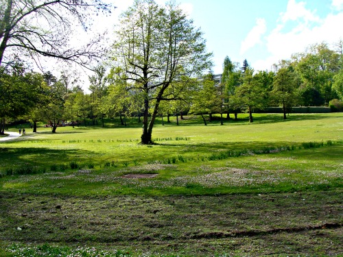 Où promener son chien ?: Mérignac - Parc du Bourran