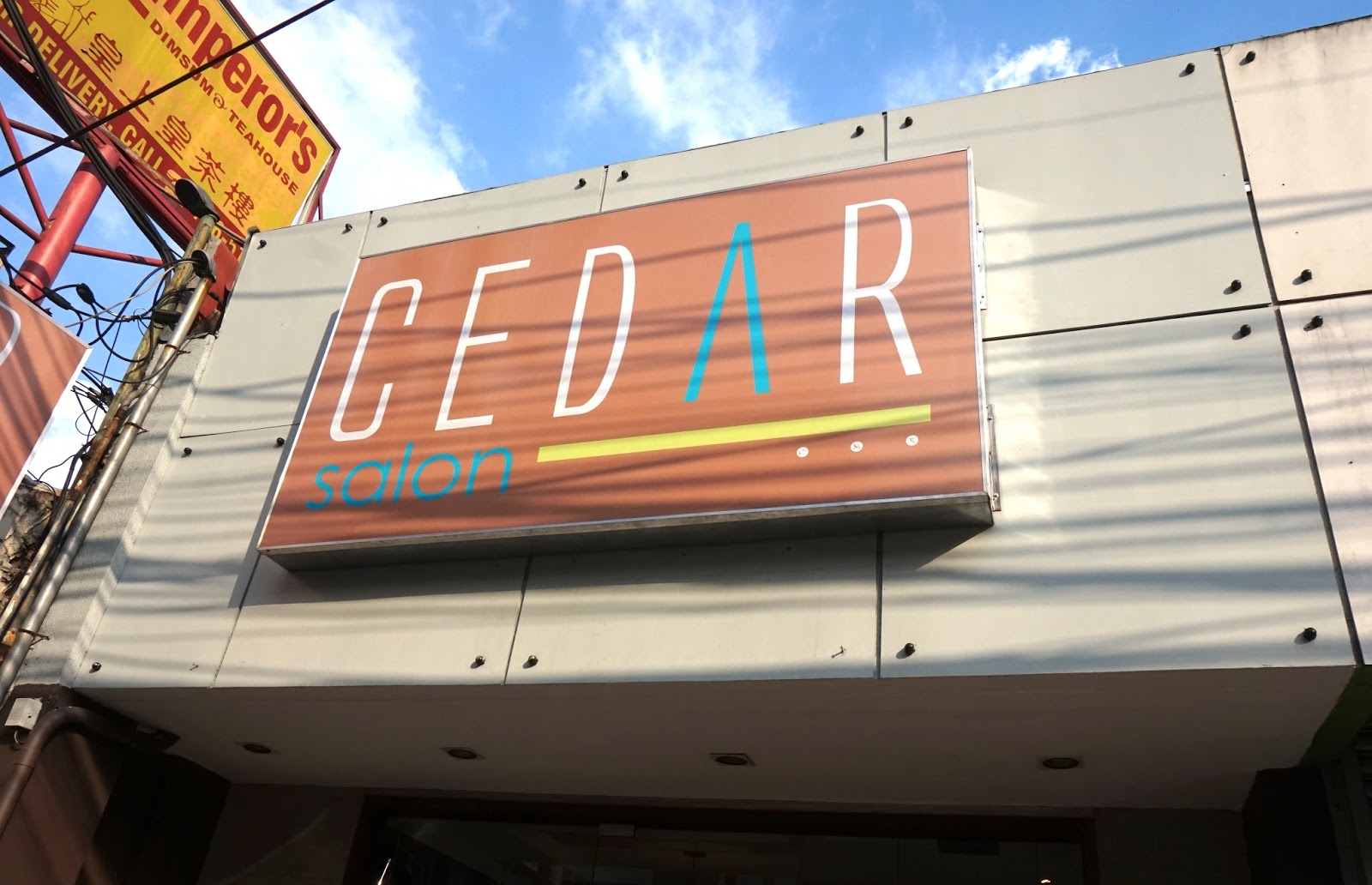 Hair Color at Cedar Salon: Review/Experience/Prices | The Beauty Junkee