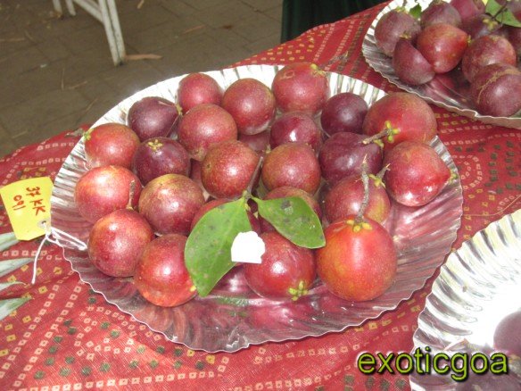 See Goa through my eyes: The seventh Konkan Fruit Fest 2012