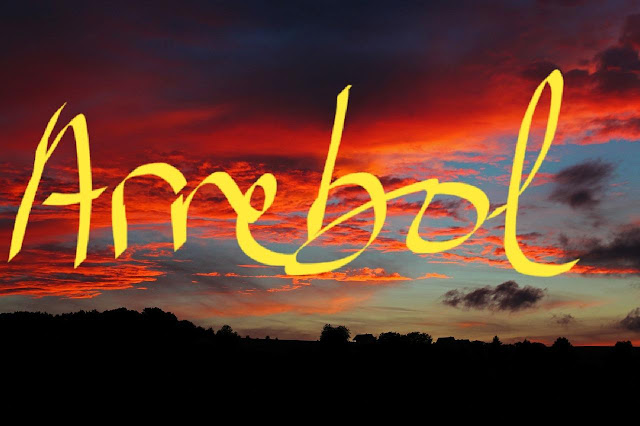 De la palabra al pensamiento: Somos palabras