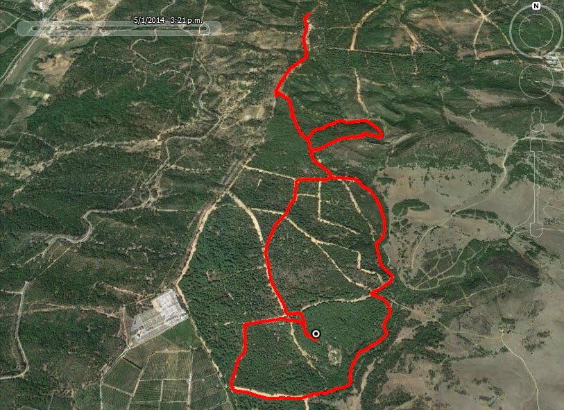 Los Pinsapos - Senderismo y Naturaleza: Fiesta del trabajo: ruta y ...