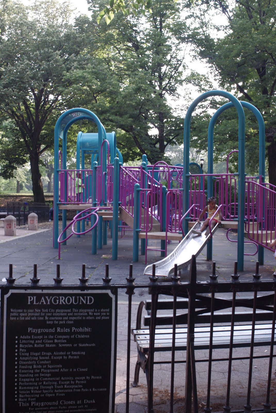 The Tour de Brooklyn Playgrounds: Playground Tour Stop #9: Mount ...