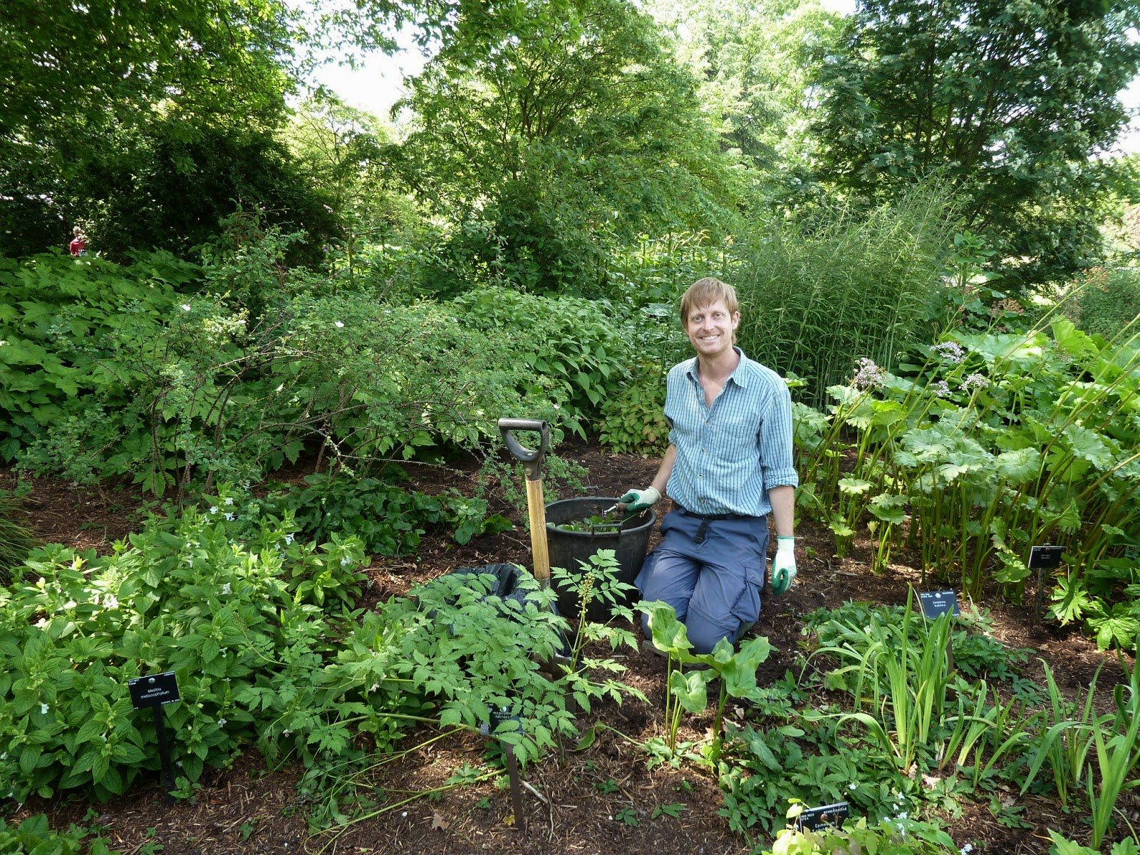 Barbara's Garden Chronicles: Last Year's Best Gardens - Kew Gardens