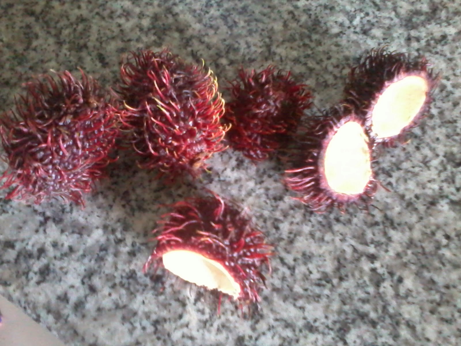 Welcome to the Panama Man: Native fruit of Panama - Mamon Chino