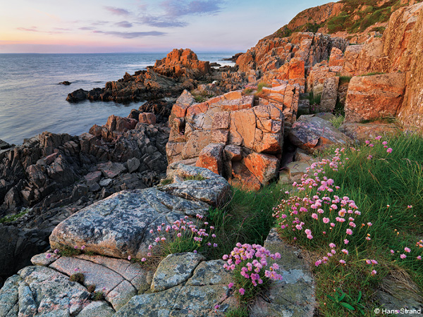 Critter Sitter's Blog: European Landscapes